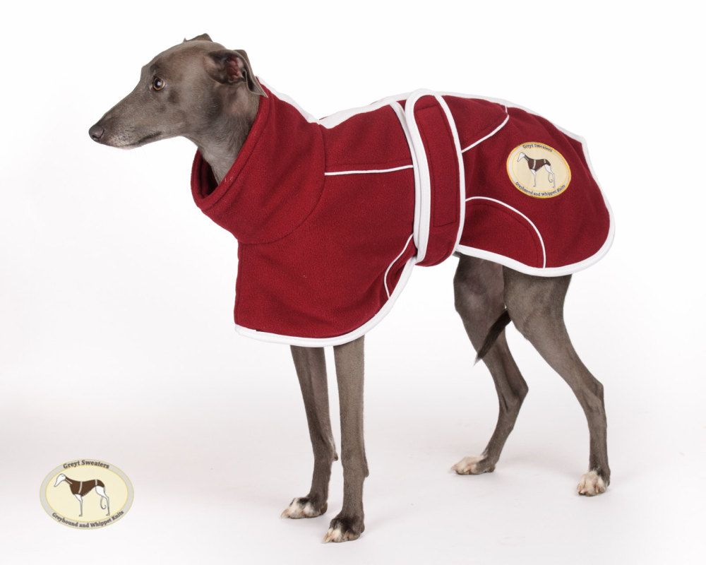 Greyt Sweaters Hound BTQE