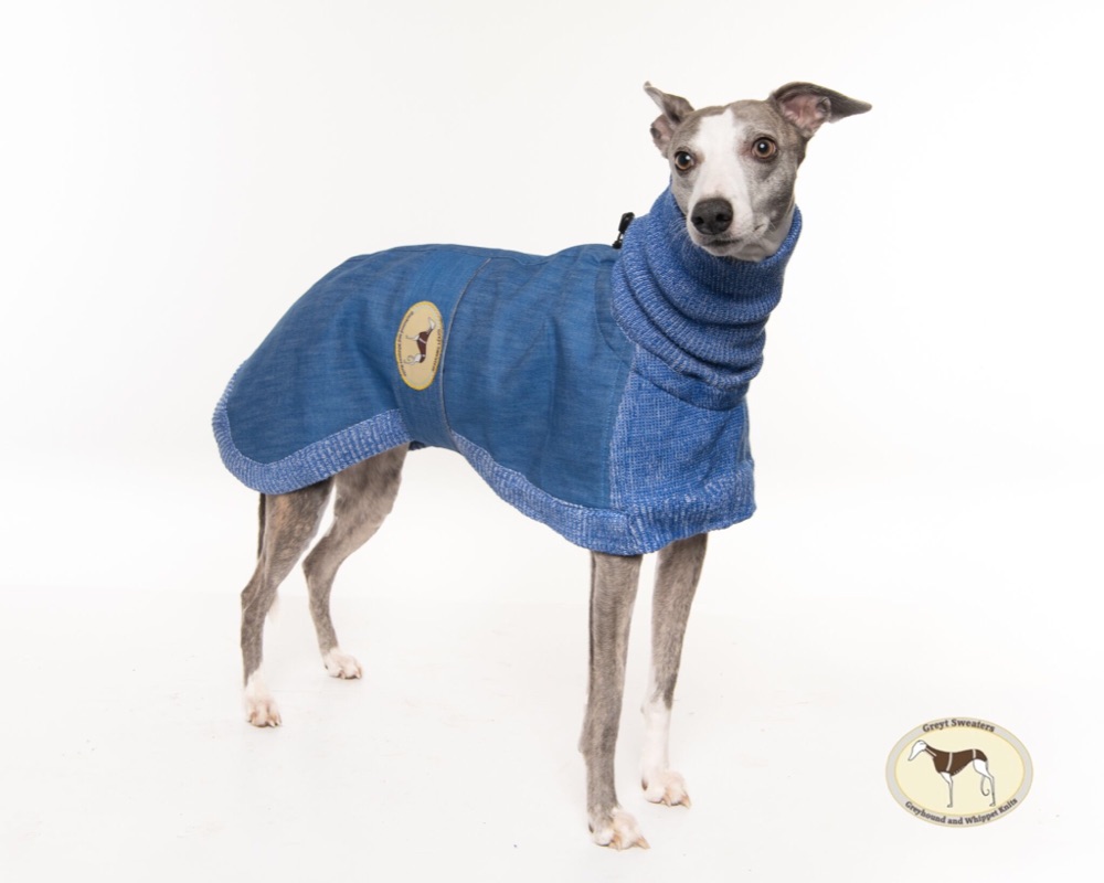 Greyt Sweaters Hound BTQE