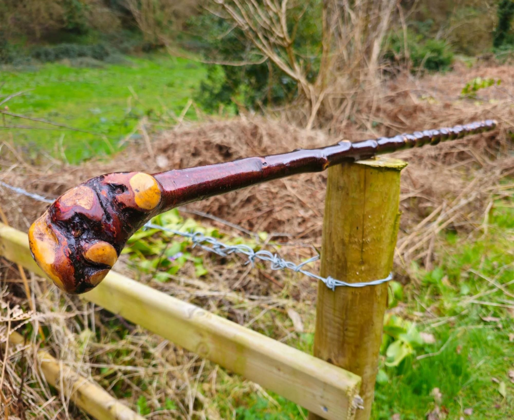 IRISH BLACKTHORN WALKING STICKS
