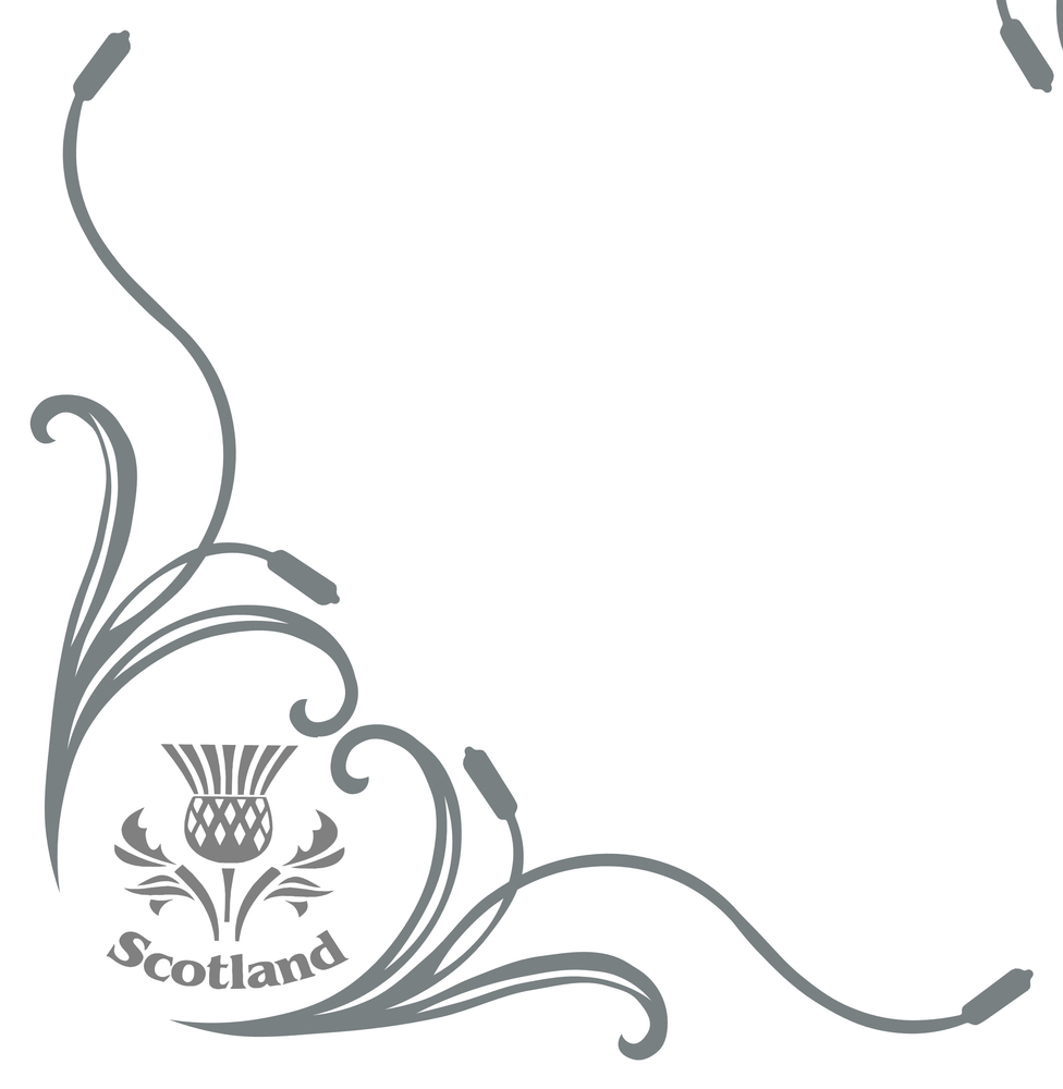 A unique selection of Truck Side Window Stickers for Daf, Man, Mercedes ...