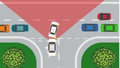 Driving Instructor Books, Learner Books, ADI Instructor Books, Learner ...