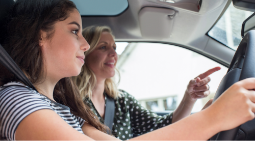 Pink Licence - ADI Trainee Licence