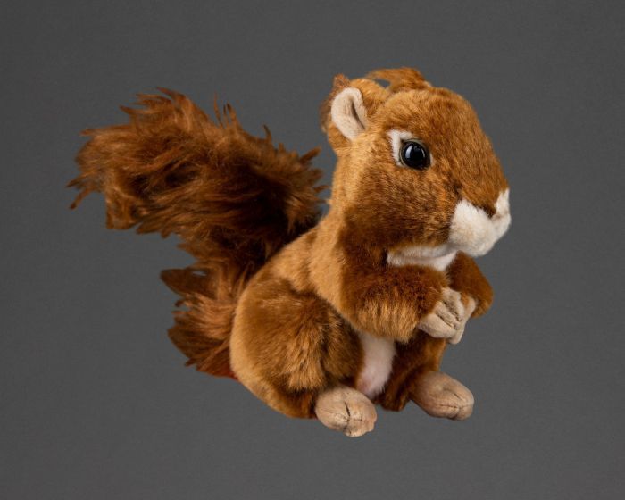 Red Squirrel Gifts - adopt a red squirrel, give a red squirrel soft toy ...