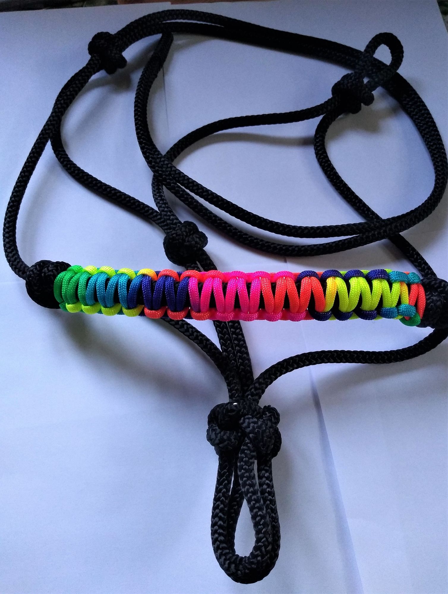 Easy Catch Halter & Lead in one