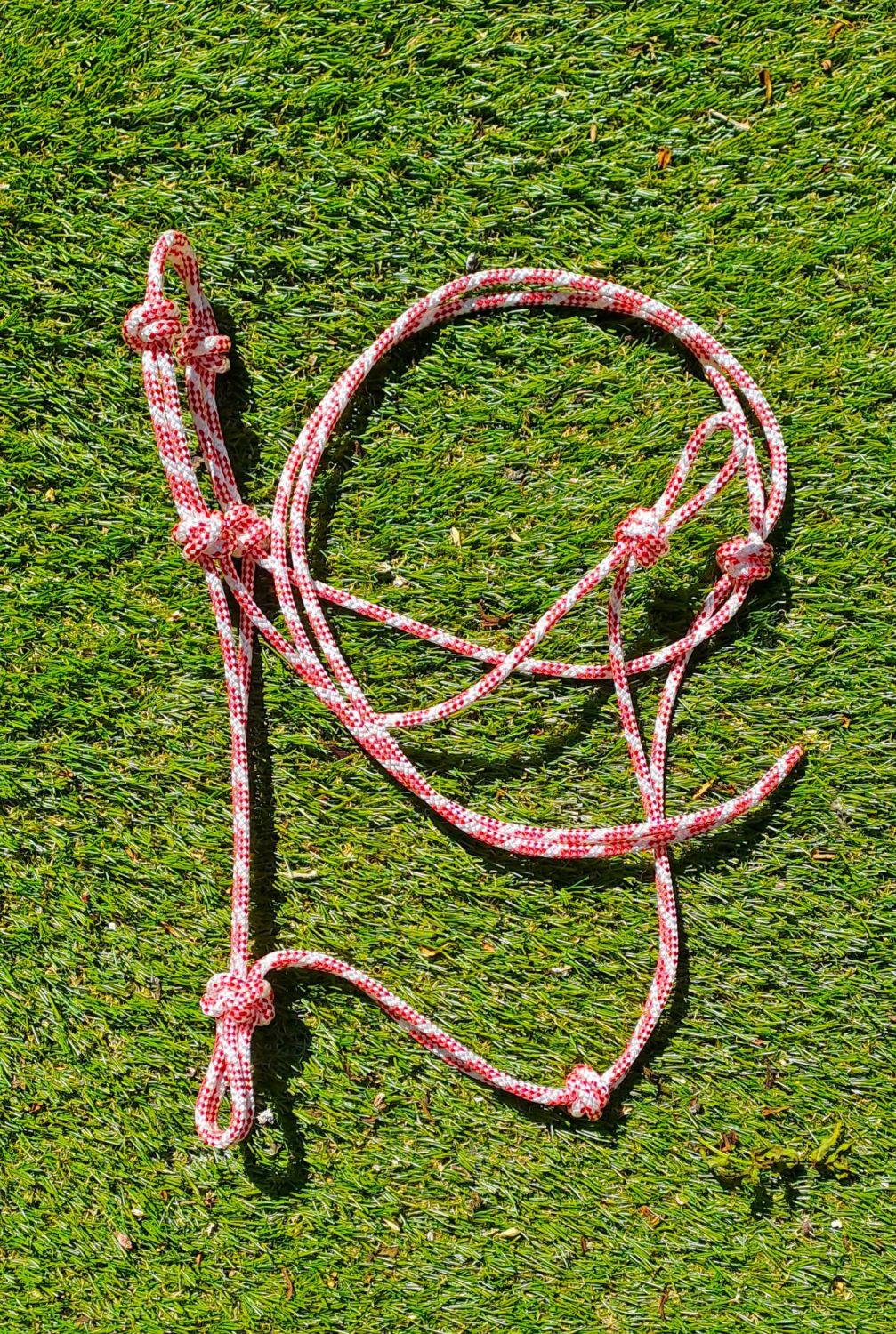 Mark Taylor Signature 4 Knot firm Rope Halter