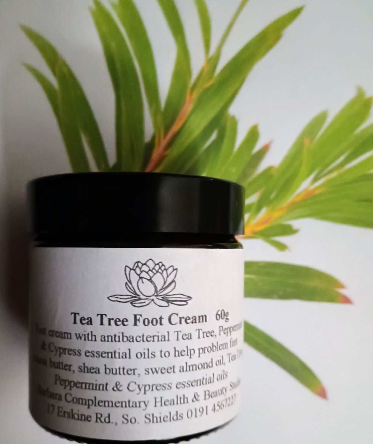 Tea Tree Foot Cream (60g)