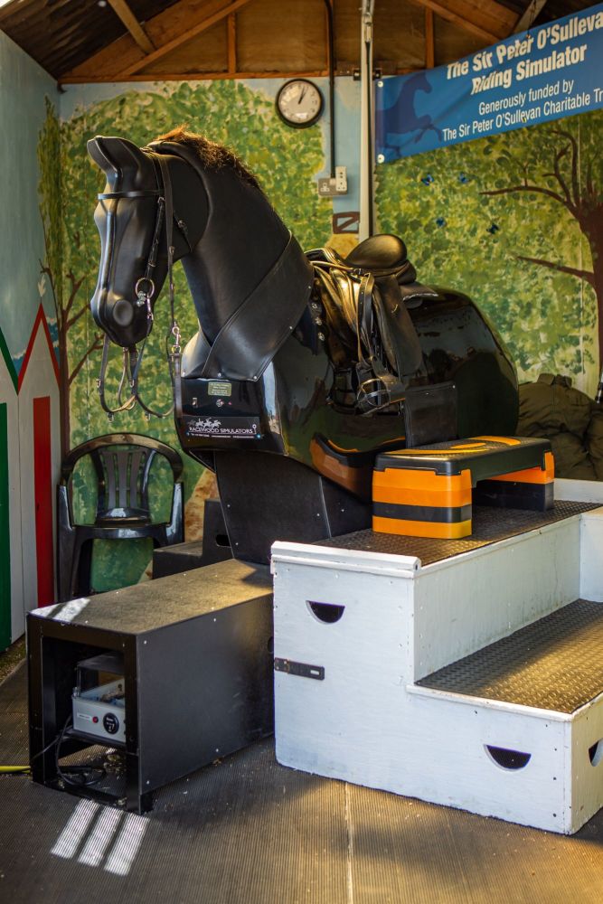 Meet Sully the Horse Simulator