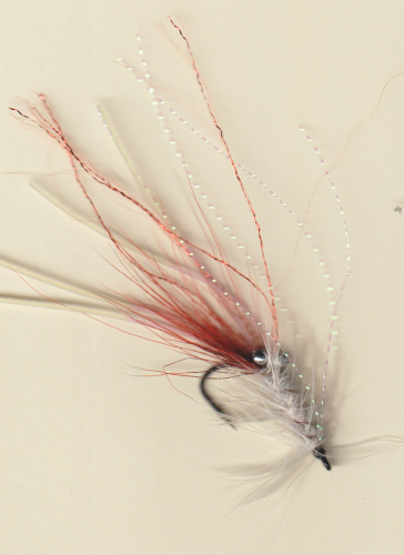 Rock Fly Fishing Feature