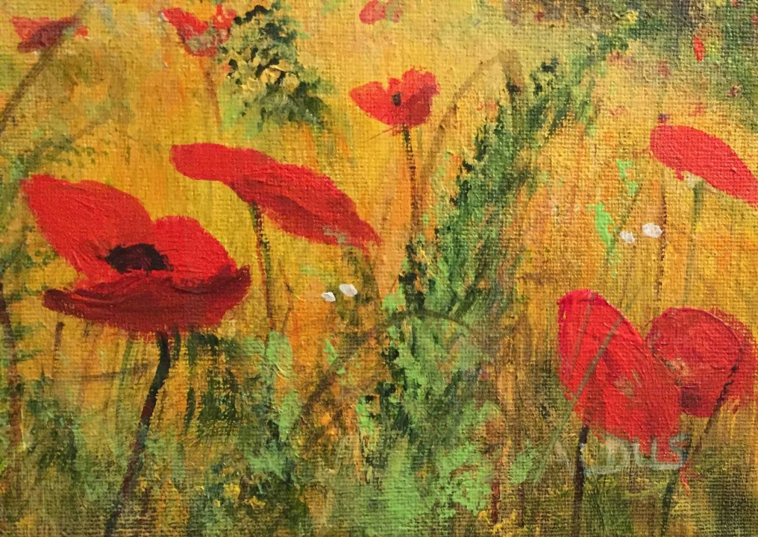 "Poppy Corn" Bucks by David Aldus U.A (now sold 27/12/17)