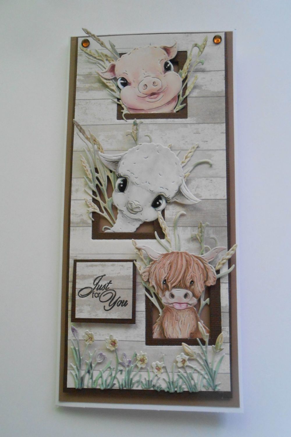 'Farmyard Friends' DL size Handmade Birthday Card