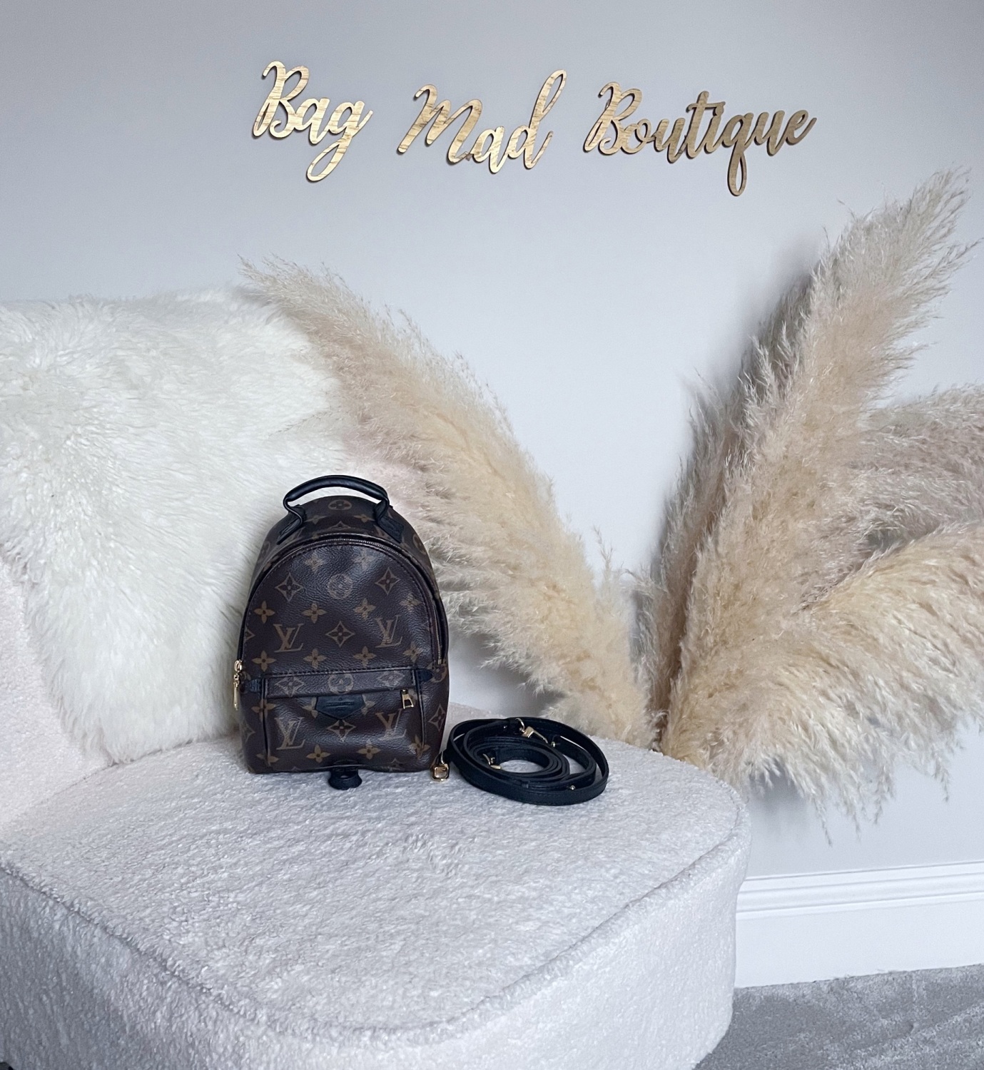 Louis Vuitton Monogram Palm Springs Mini