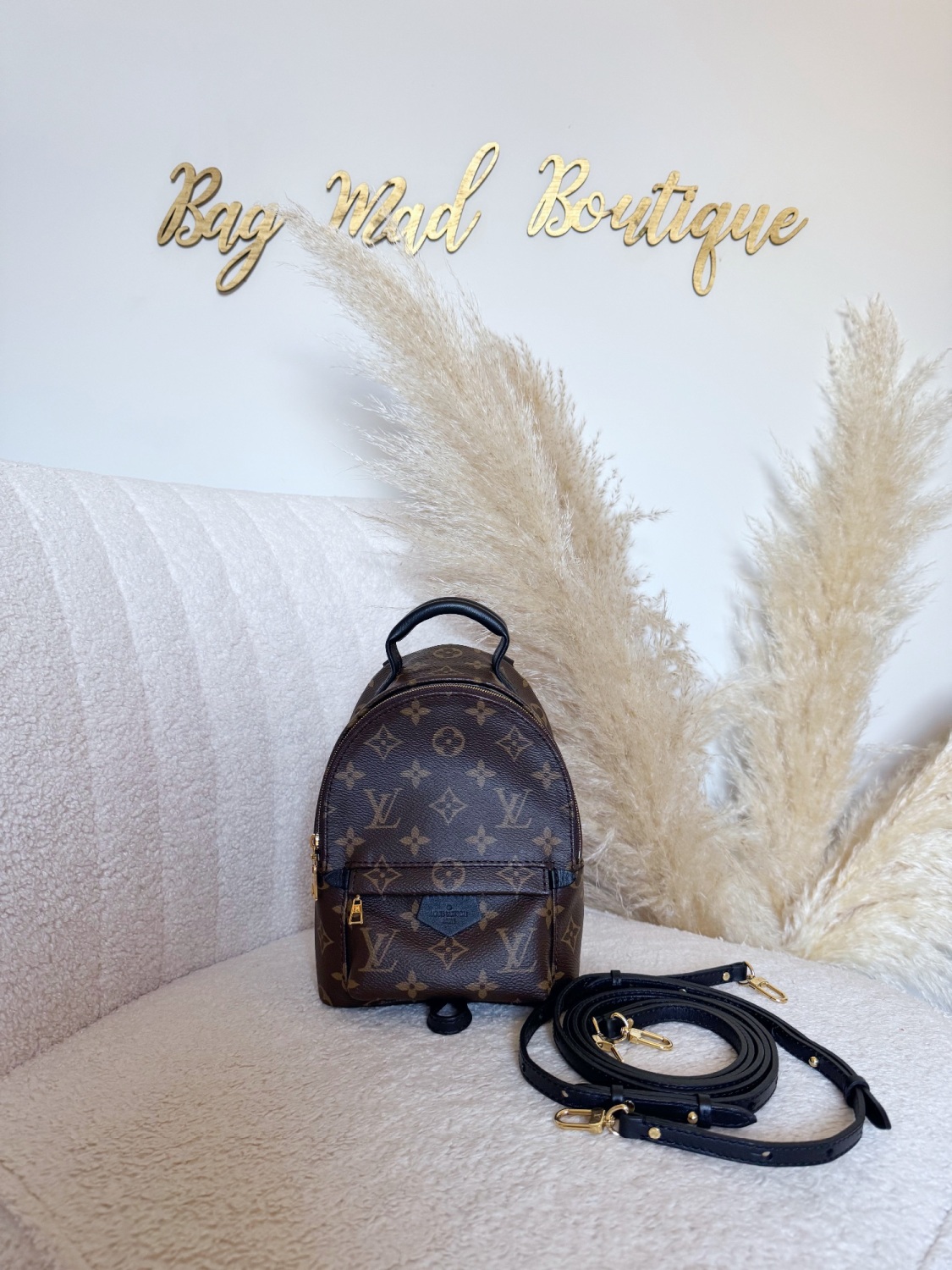Louis Vuitton Monogram Palm Springs Mini