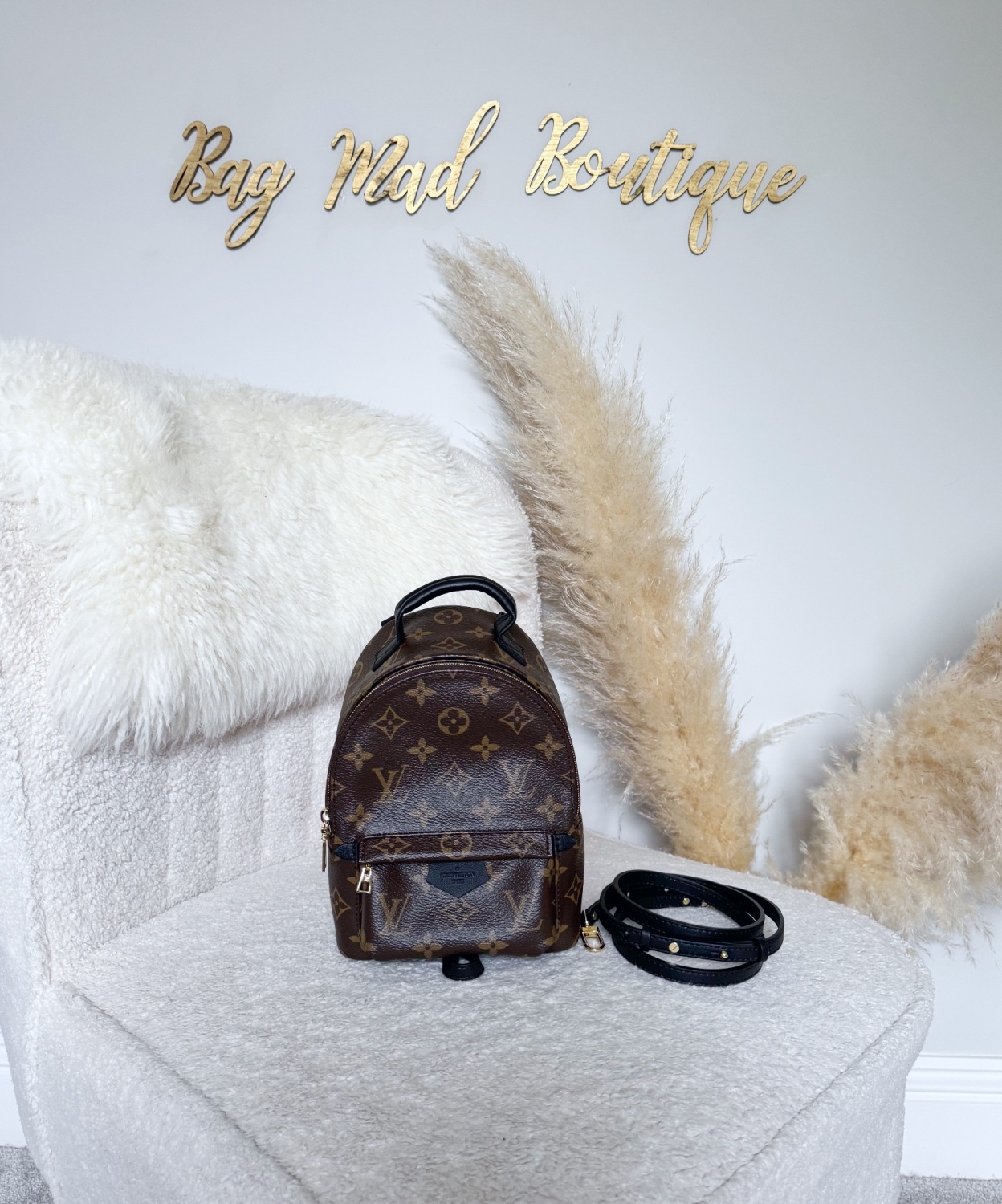 Louis Vuitton Monogram Palm Springs Mini
