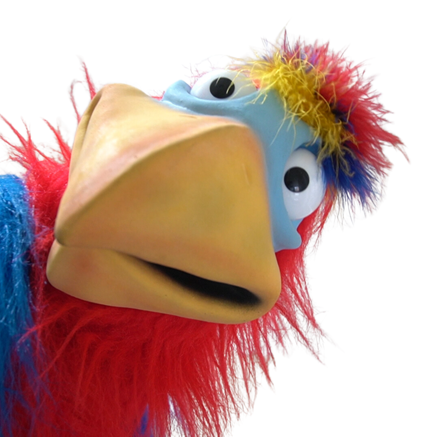 Children's Entertainer and Magician | Simon Says Magic