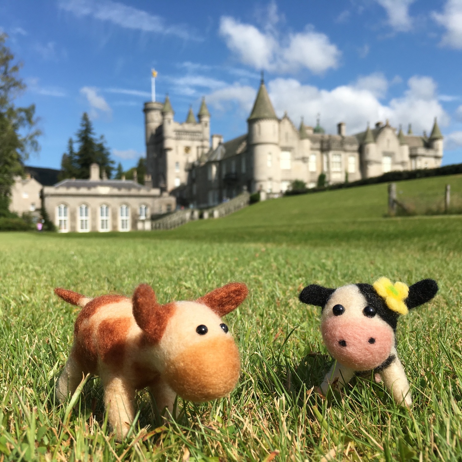 Home [www.feltcreative.co.uk]