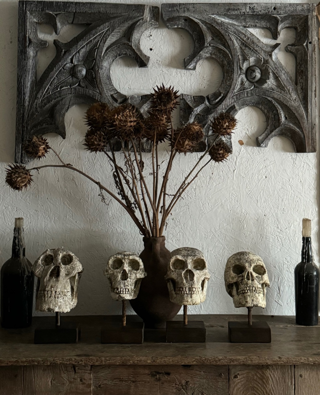 Set of four evolution of man skulls.