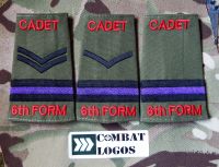 CCF Rank Slides