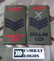 acf rank slides