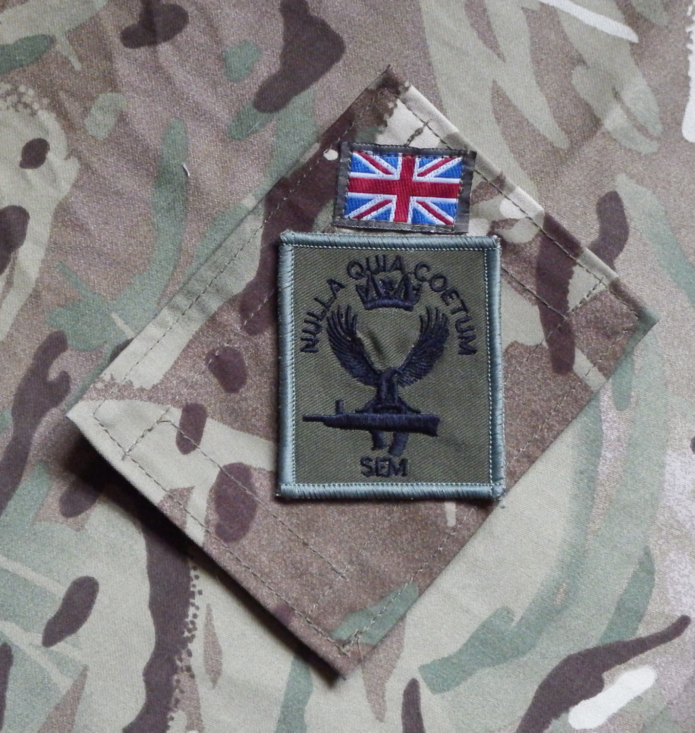 atc cadet badges