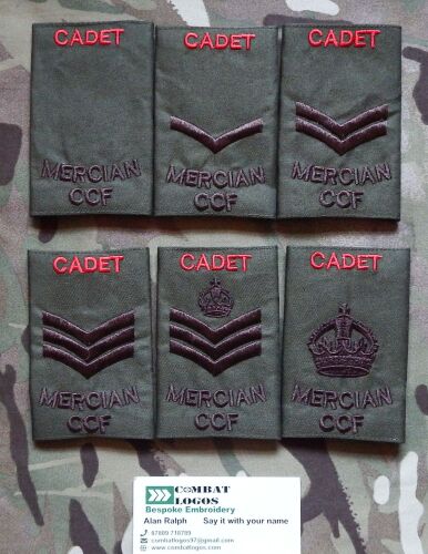 acf rank slides - Page 1