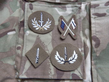 army cadet force badges