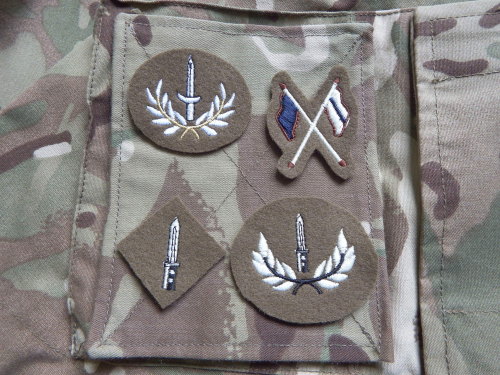 army cadet force badges