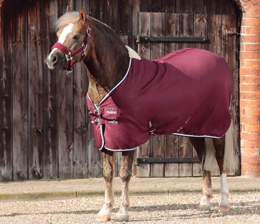Fleece Rugs for Shows & Stable, Choose Your Own Colours and Personalise ...