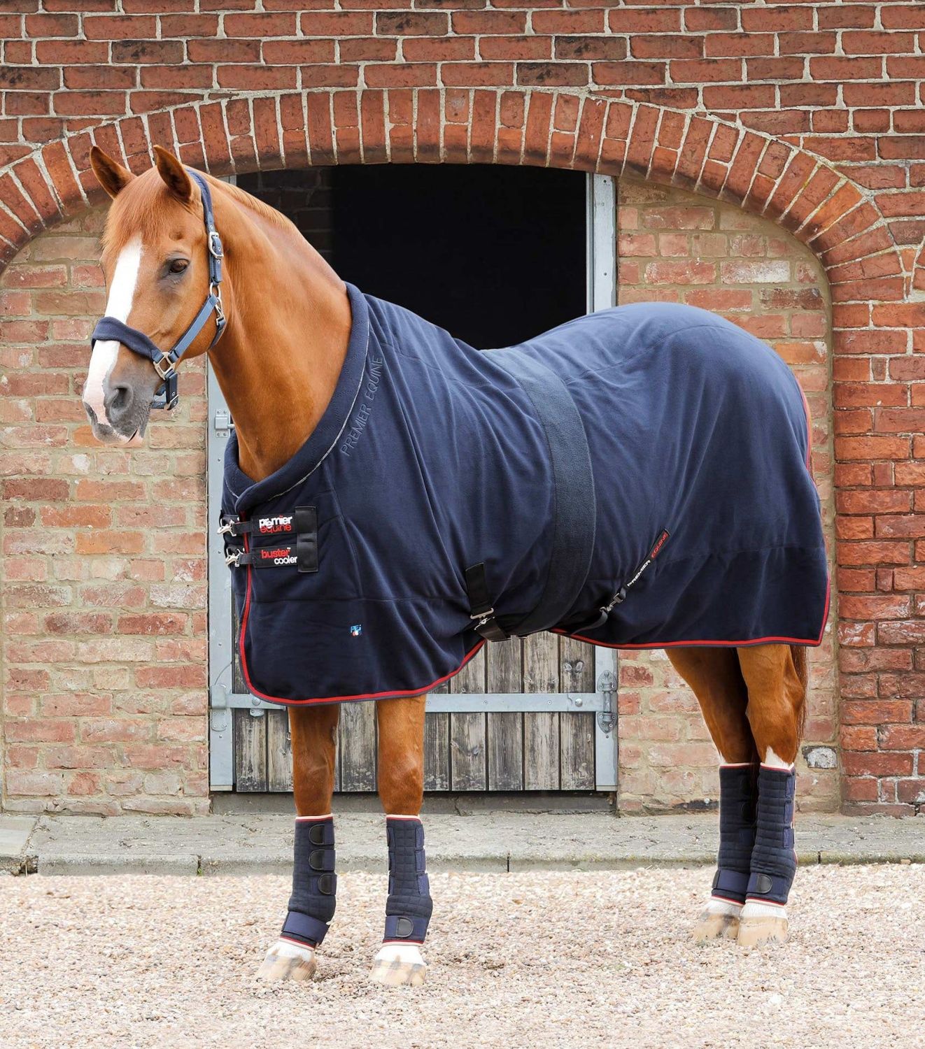 Fleece Rugs for Shows & Stable, Choose Your Own Colours and Personalise ...