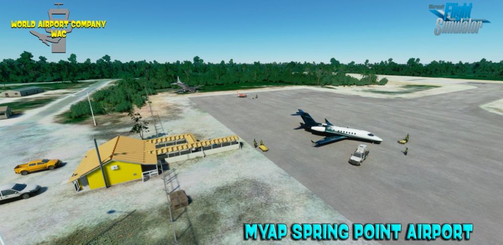 Microsoft Flight Simulator | Marketplace | MYAP: Spring Point Airport ...