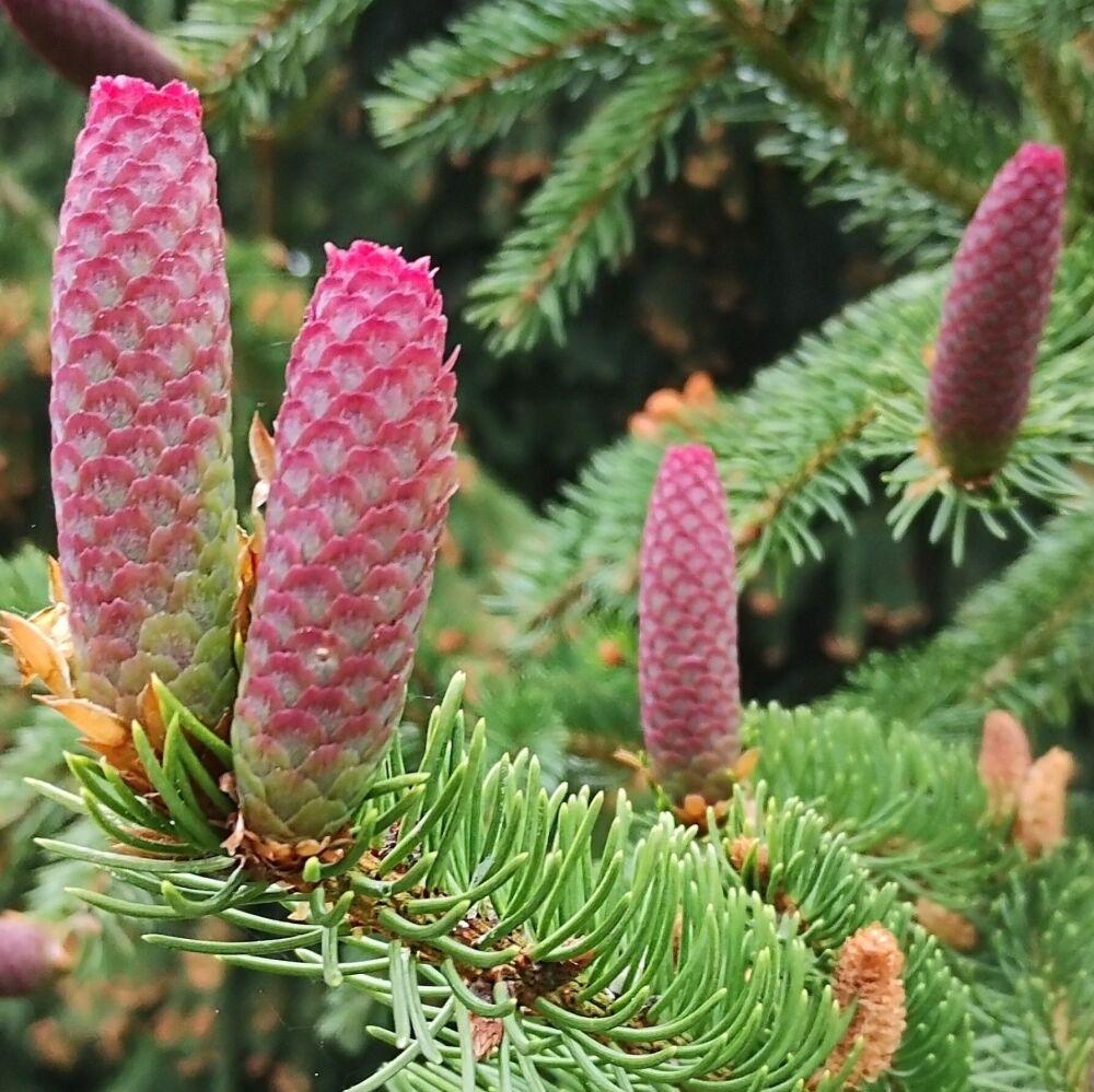 Embroidery classes with Sarah