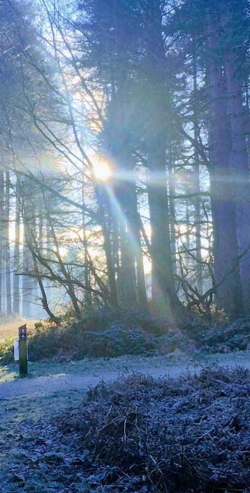 Learning Hand Embroidery | Sarah Homfray Embroidery