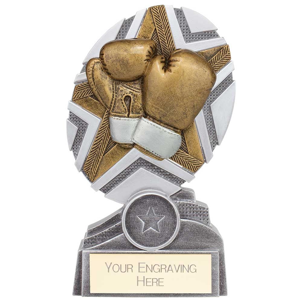 resin boxing trophy