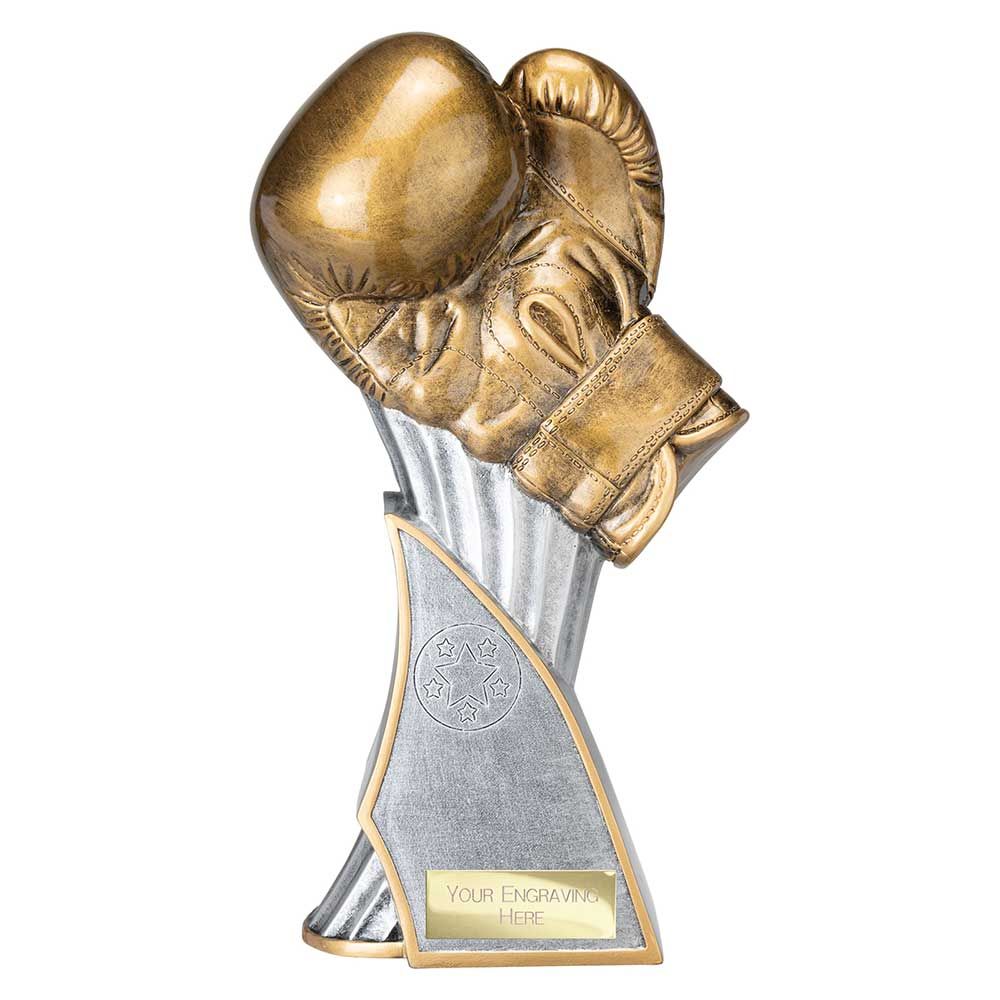 resin boxing trophy
