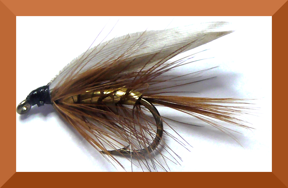 Wickham's Fancy,wet fly #12