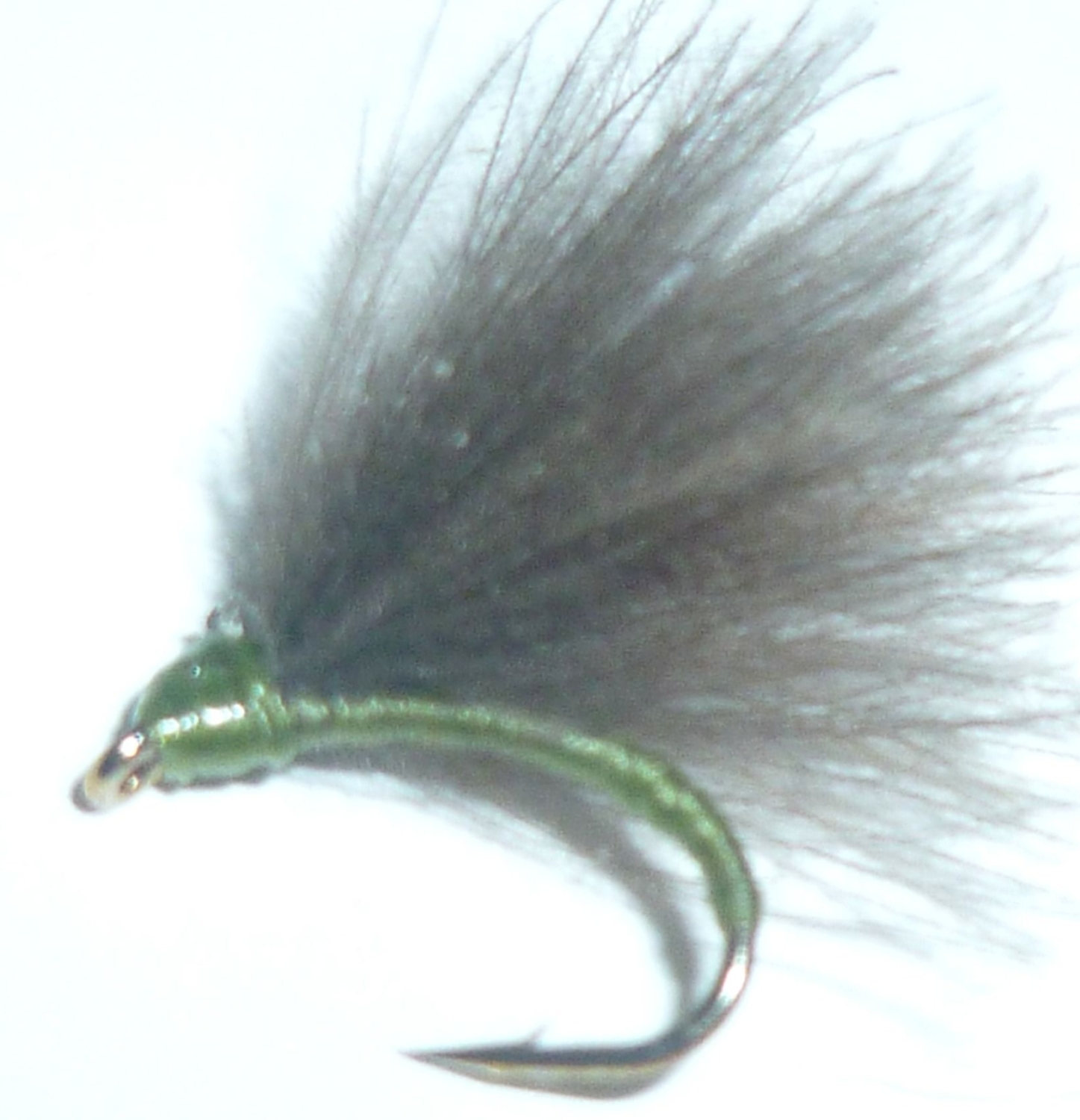 F FLY ,Olive ,#14