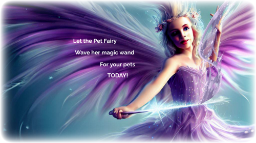 Welcome to Pet Fairy!