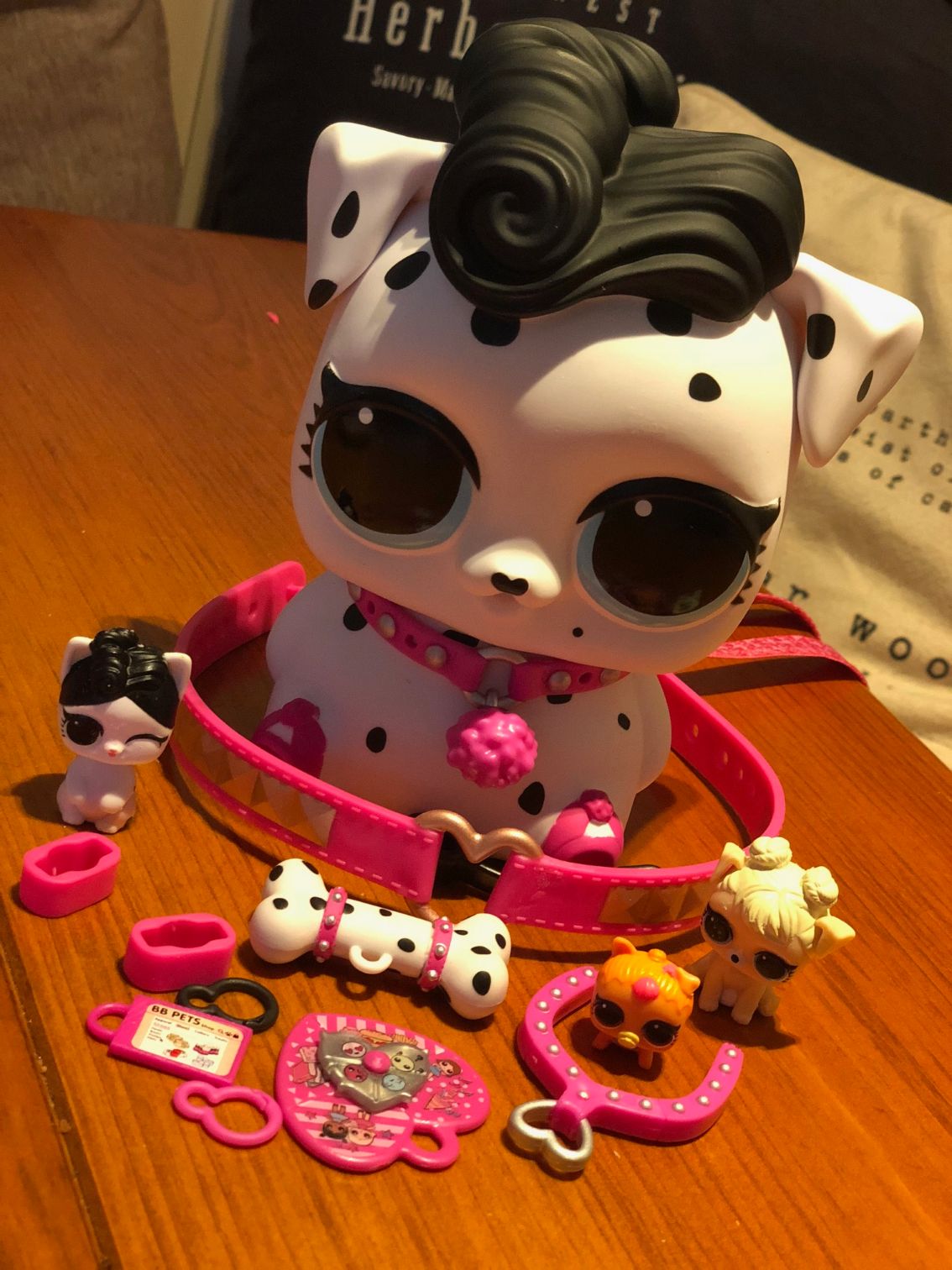 Whats inside the LOL Surprise Biggie Pets