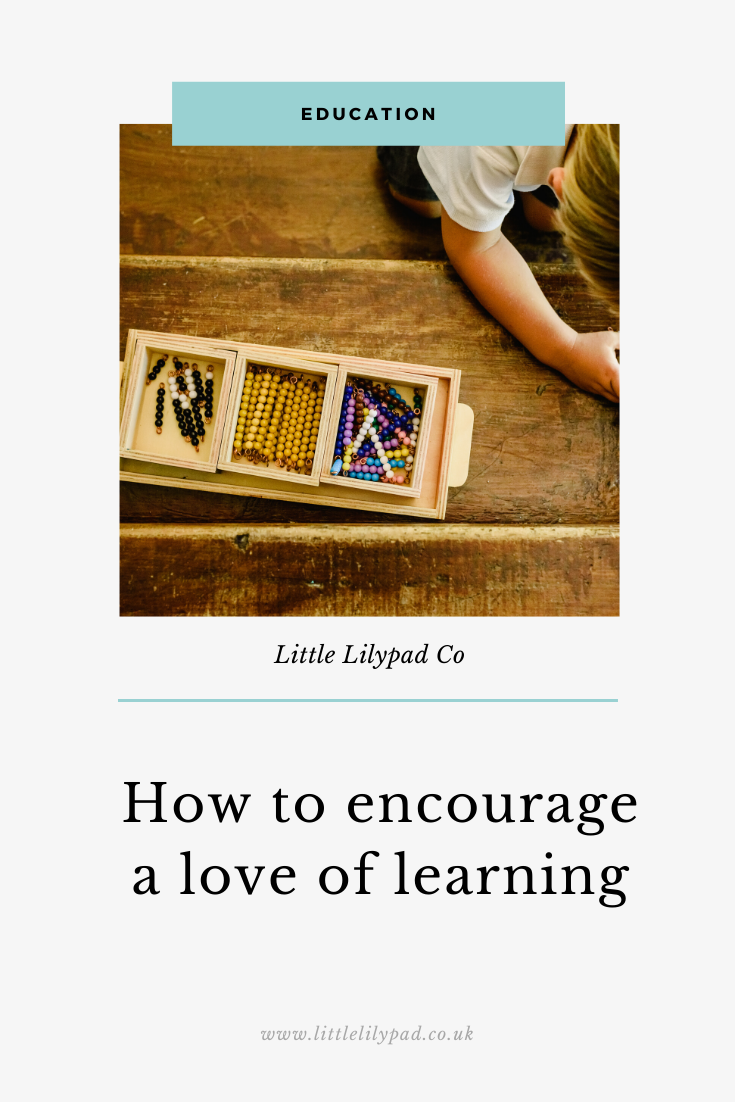 How to encourage a love of learning - Blog : Little Lilypad Co