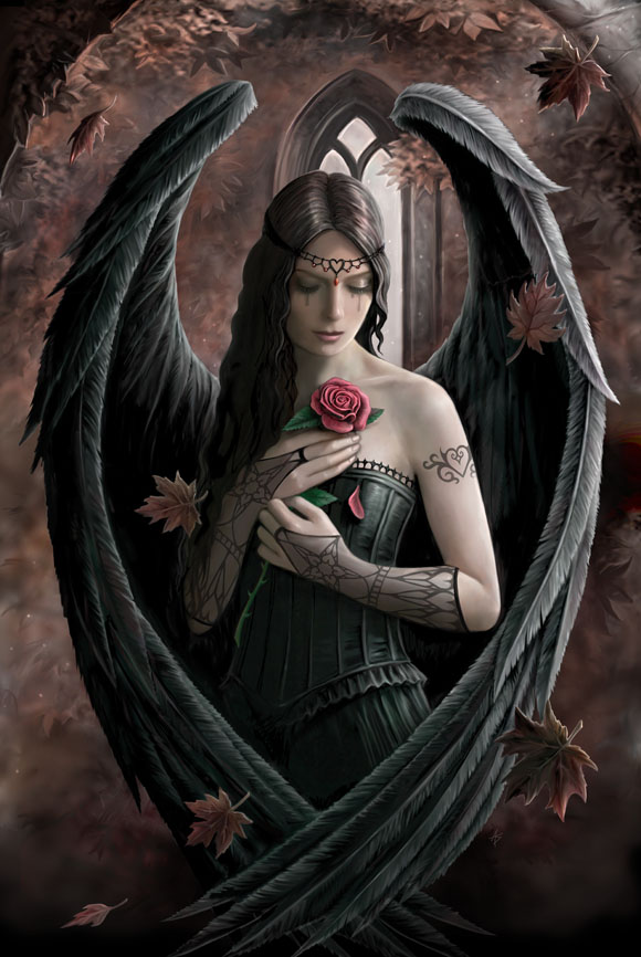 Angel Rose Greeting Card By Anne Stokes The Mystical T Shop
