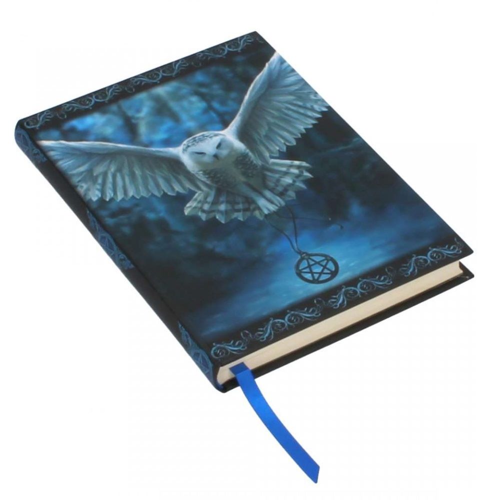 Anne Stokes Gifts & Collectables - Nemesis Now - The Mystical Gift Shop