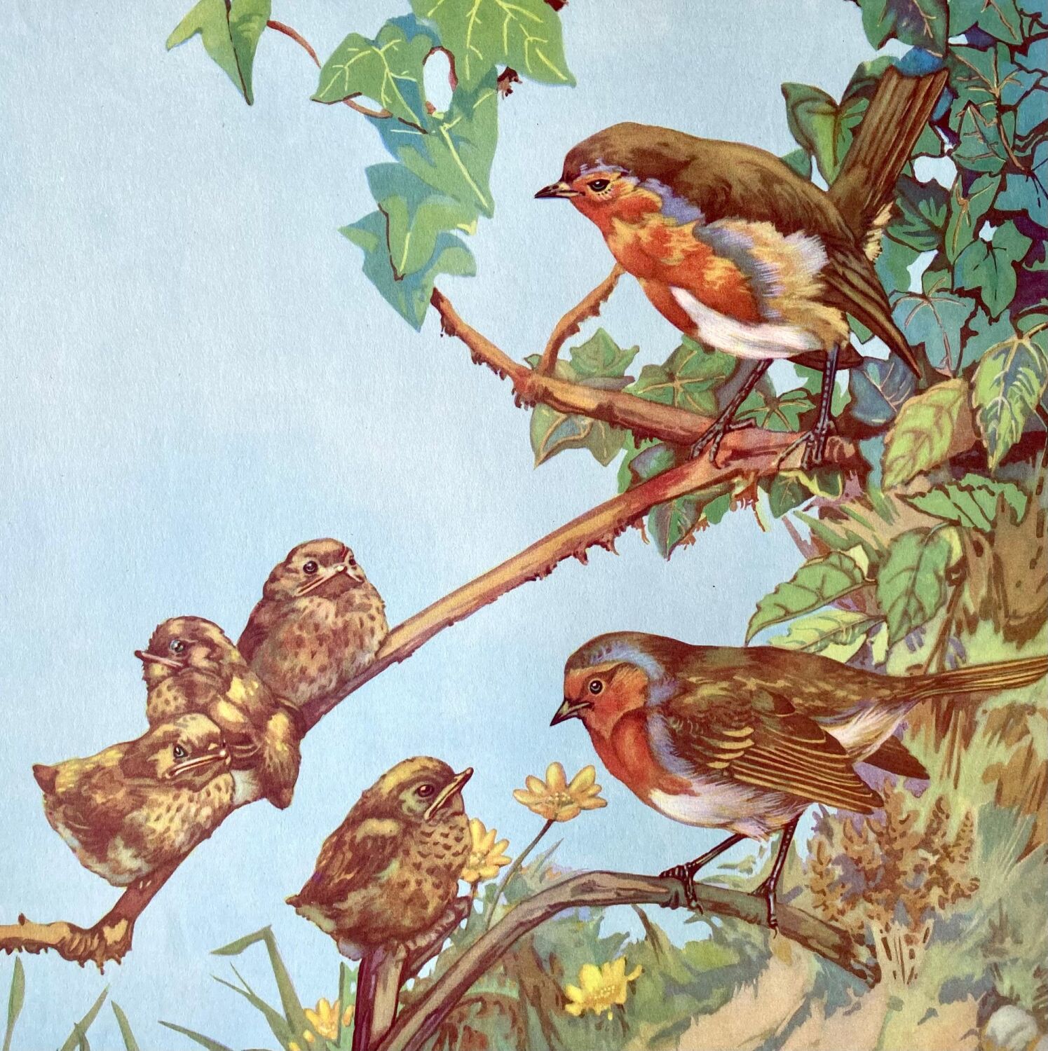 vintage classroom school posters 1930/40