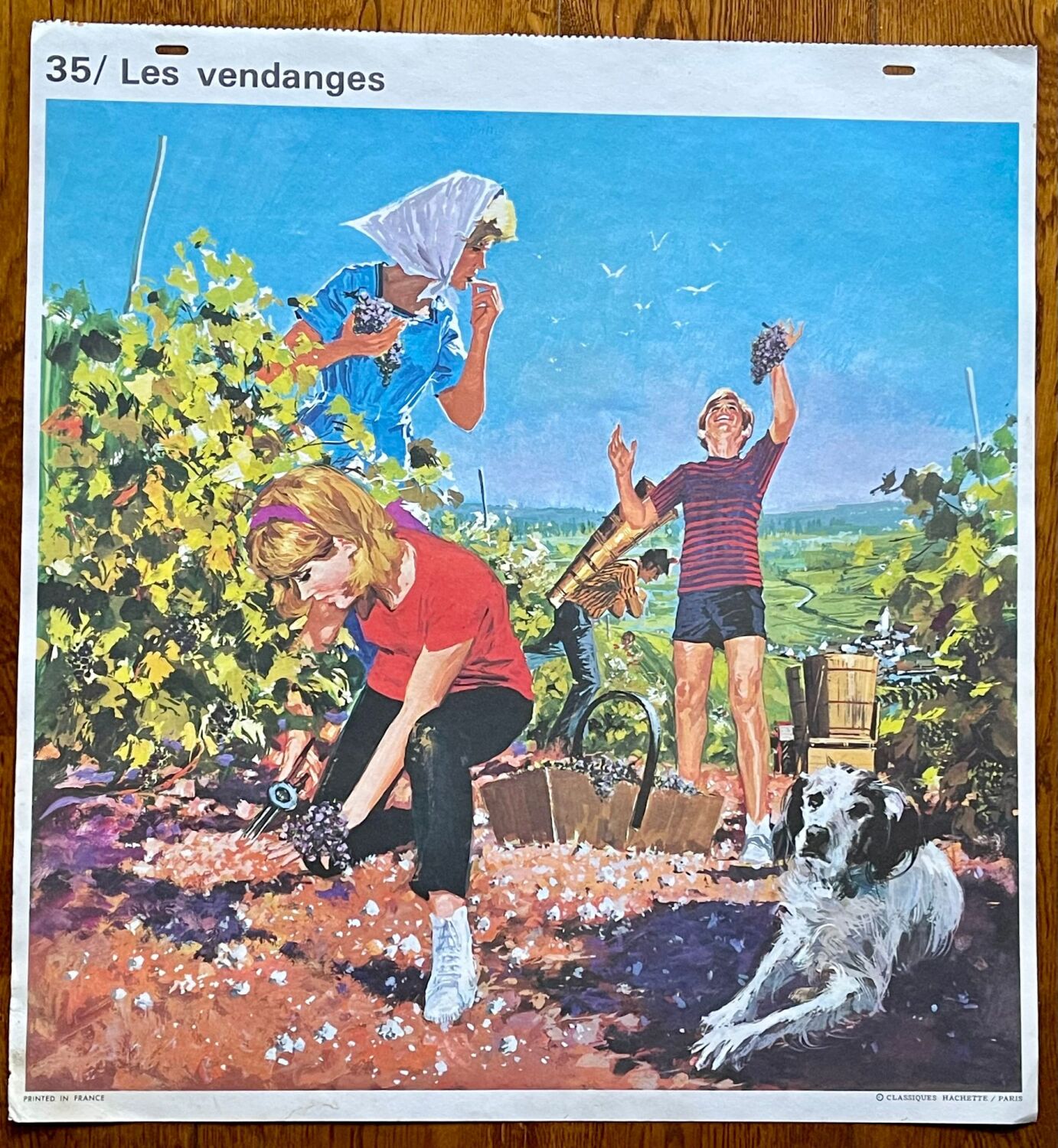 vintage french poster sixties
