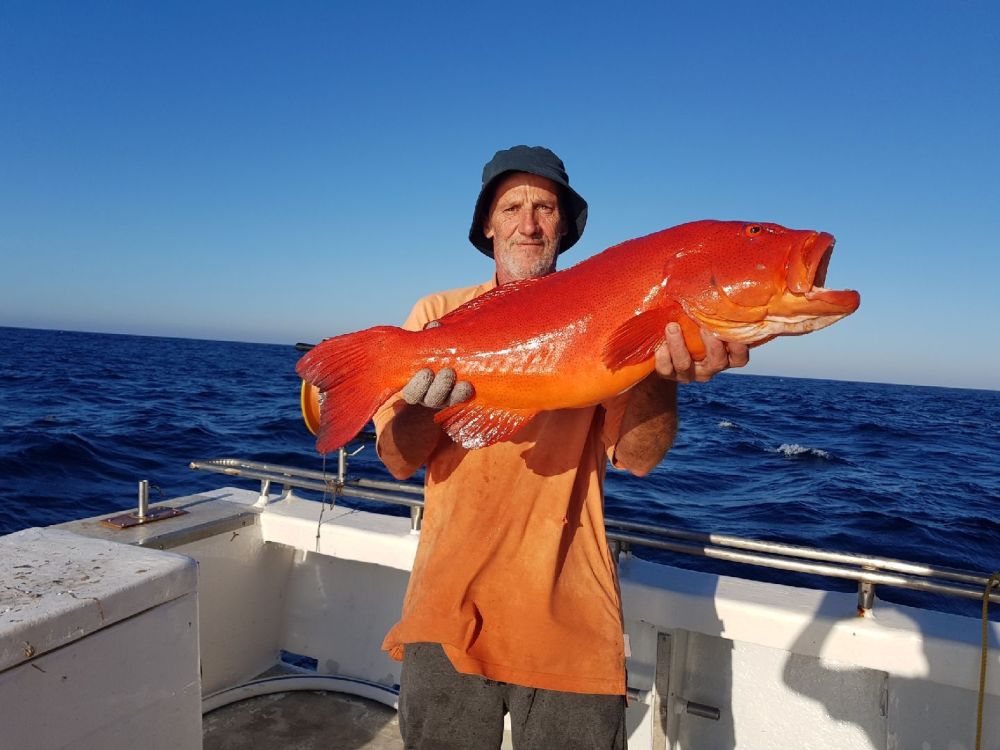 Fishing Gear Suppliers in Perth, Western Australia | Fishing Gear ...
