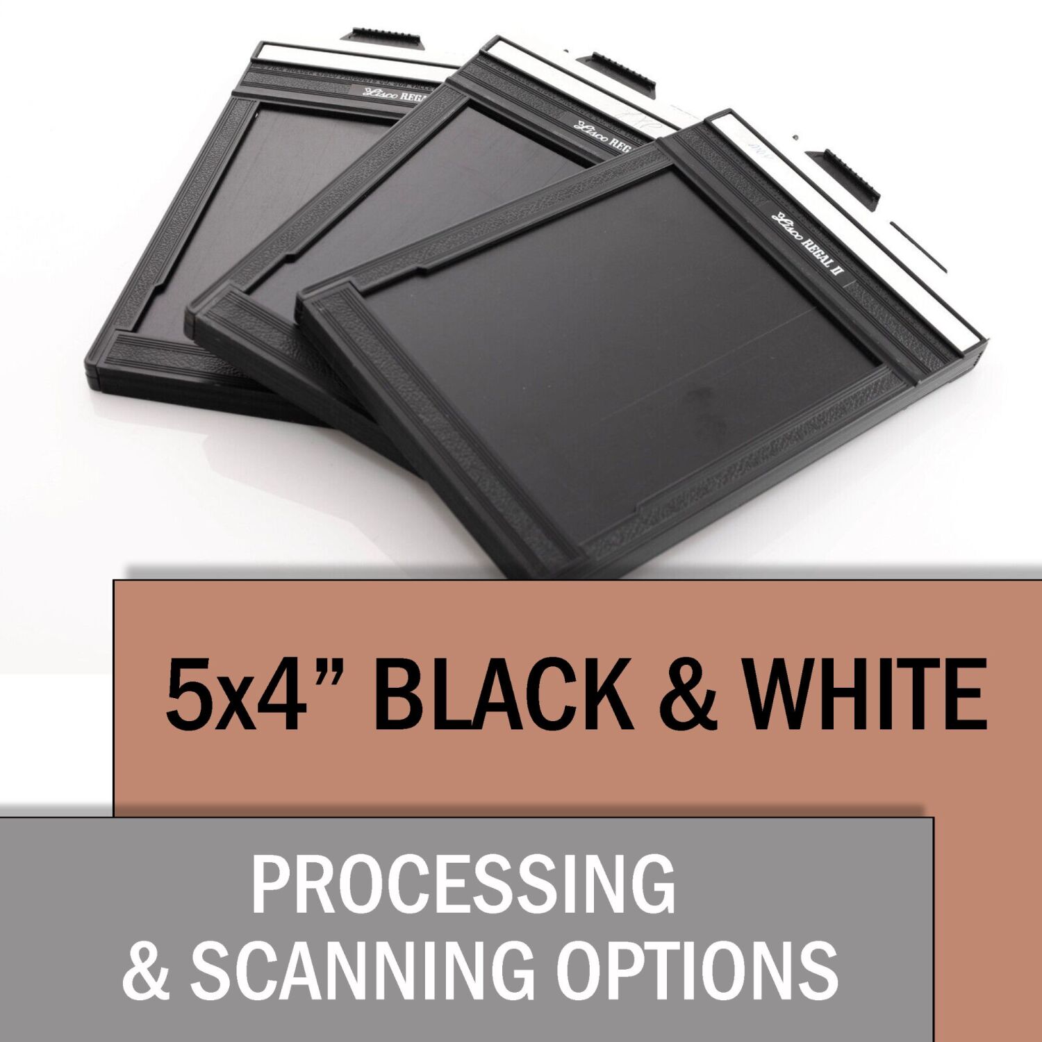 Black and White Film Processing