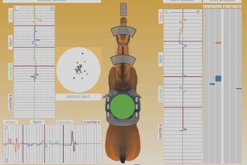 Racewood RDA Simulator