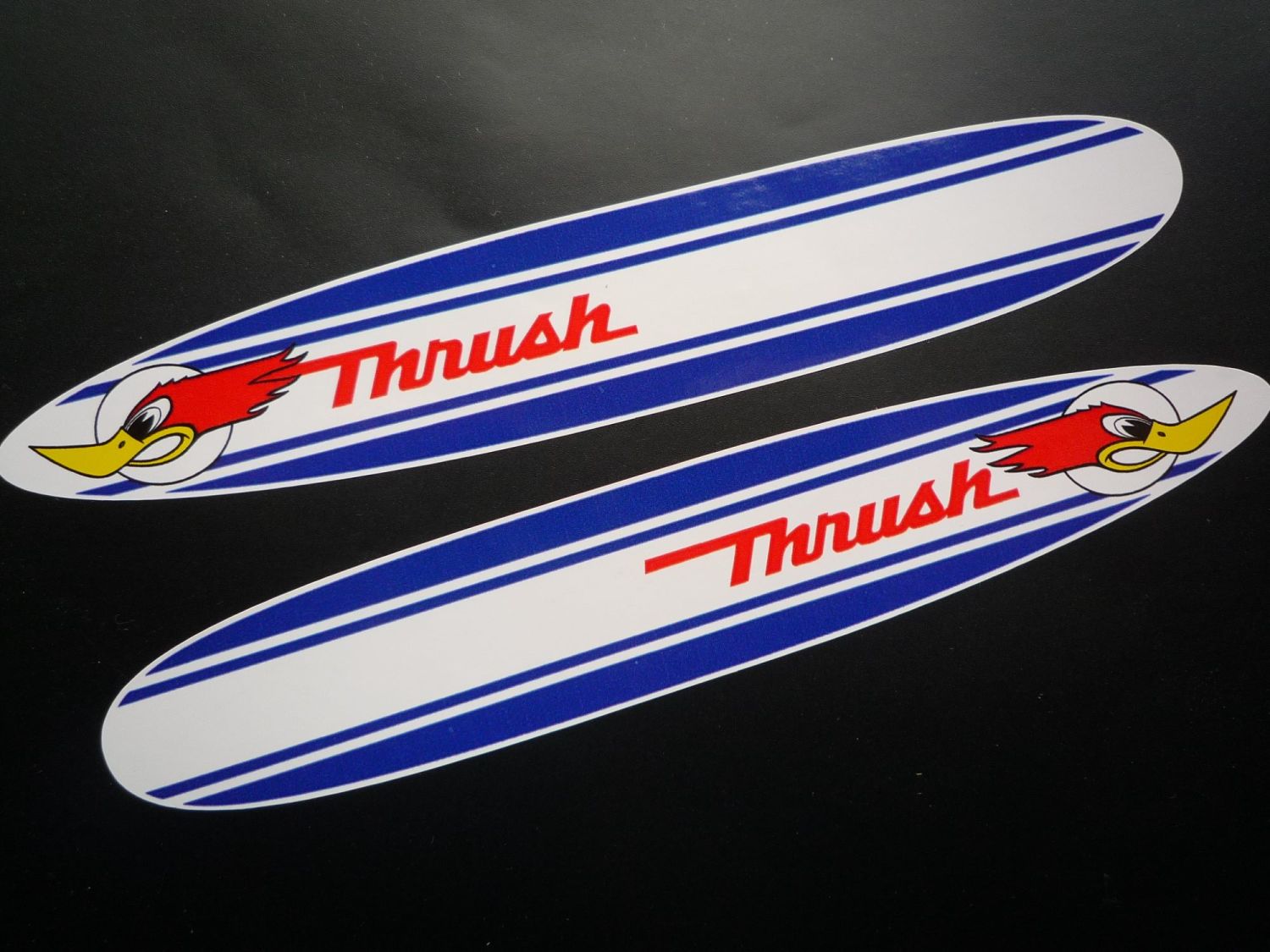 Thrush - I Say Ding Dong Shop - Buy Stickers, Decals & Unique Automobilia.