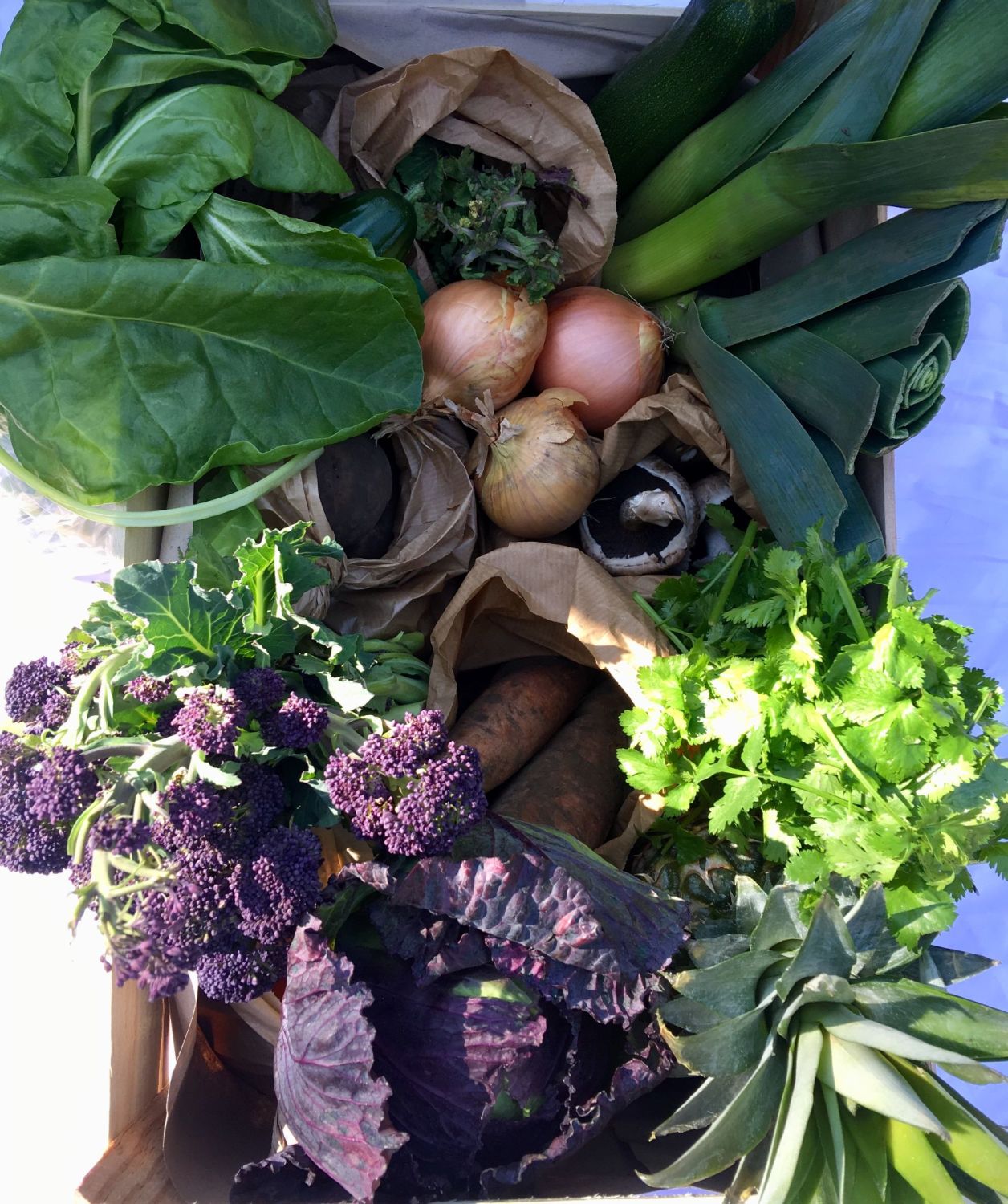 Organic Veg boxes