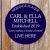 Personalised Heritage Blue Plaques with any wording | PhotoFairytales