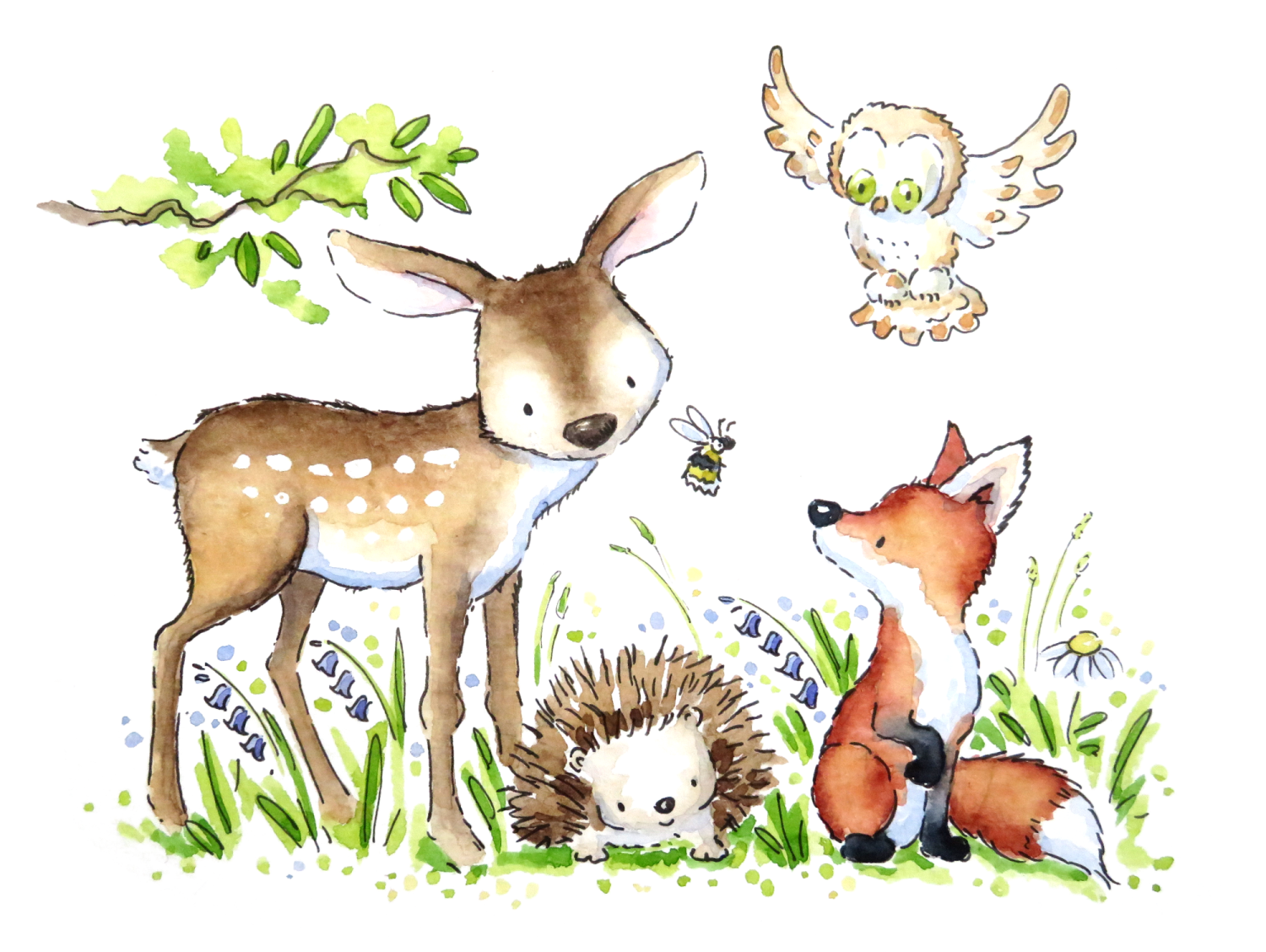 Kate Garrett Illustrator