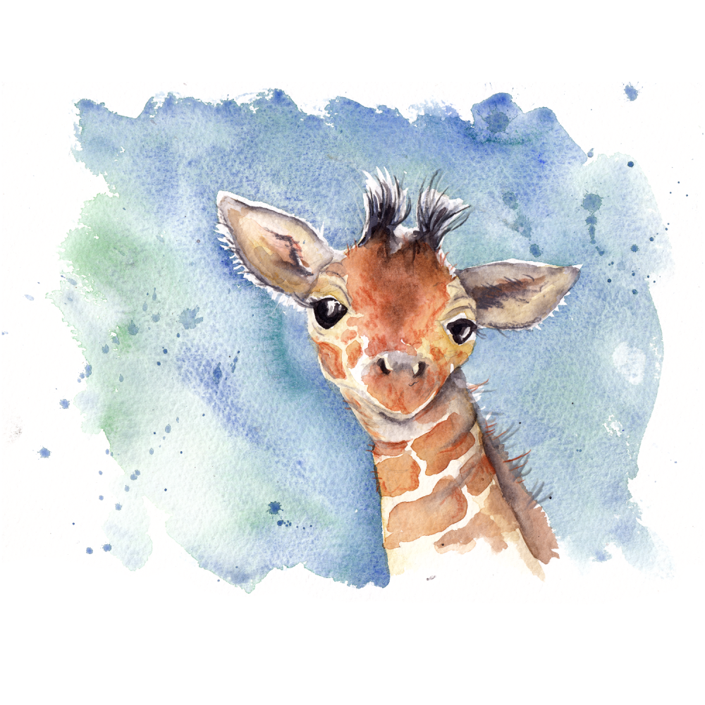 Kate Garrett Illustrator